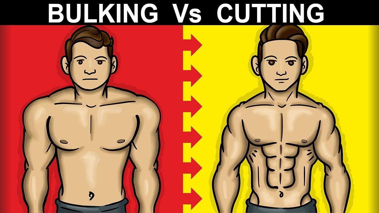 Sebaiknya Bulking atau Cutting Dulu? - Icon Nutrition